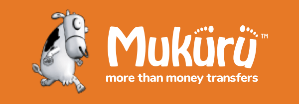 Send or Transfer Money Online to South Africa from the United States ...